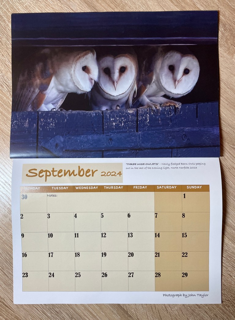 FOR SALE 2024 Barn Owl Calendars – Taliswood Wildlife Photography