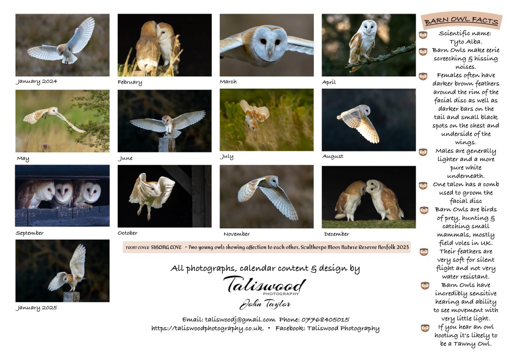 FOR SALE 2024 Barn Owl Calendars – Taliswood Wildlife Photography